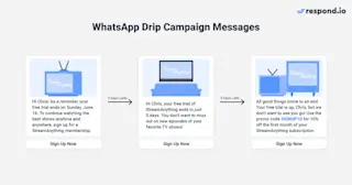 WhatsApp Drip Campaign: Crush Your Conversion Goals [April 2024]