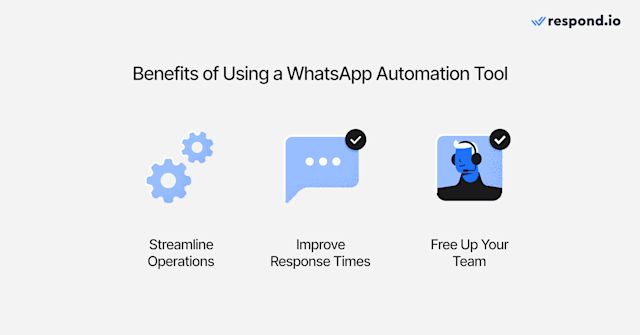 Best WhatsApp Automation Tool: 9 Top Options Compared